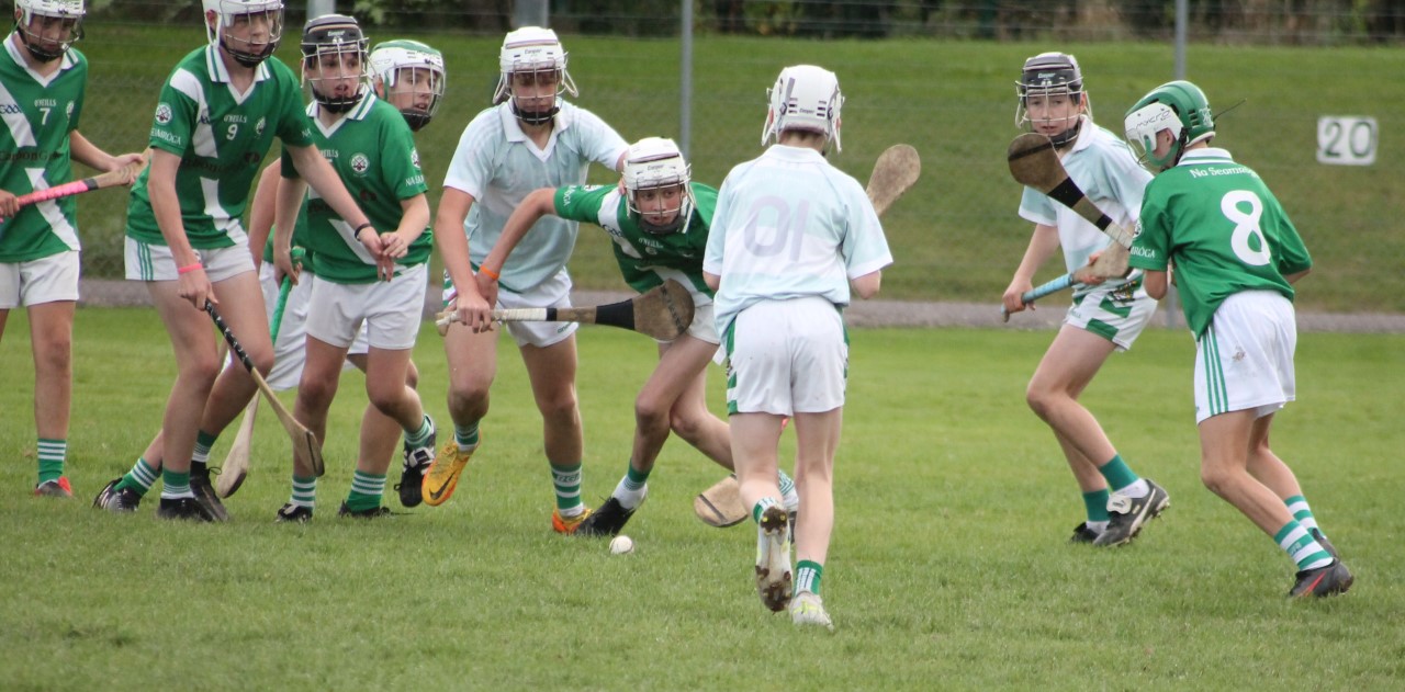 U13 HL Final V Aghabullogue – 1/10 – Shamrocks Hurling & Football Club